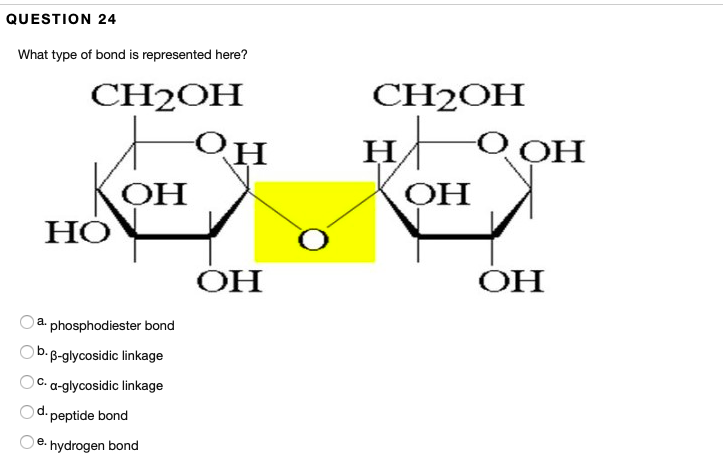 Solved QUESTION 2 A molecule with the formula C2H5COOH is | Chegg.com