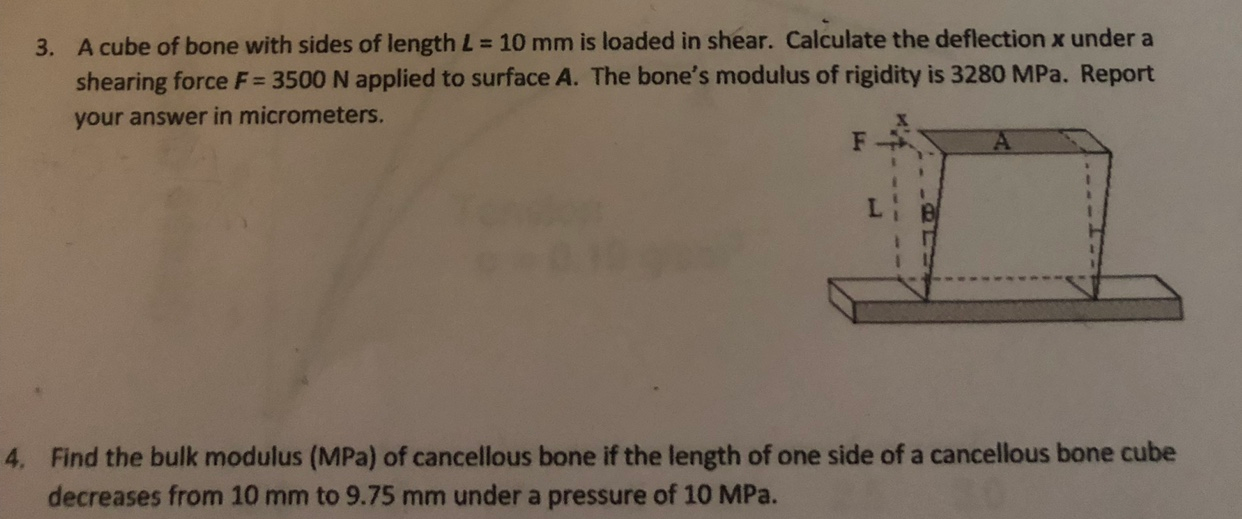 Solved 3. A cube of bone with sides of length L = 10 mm is | Chegg.com