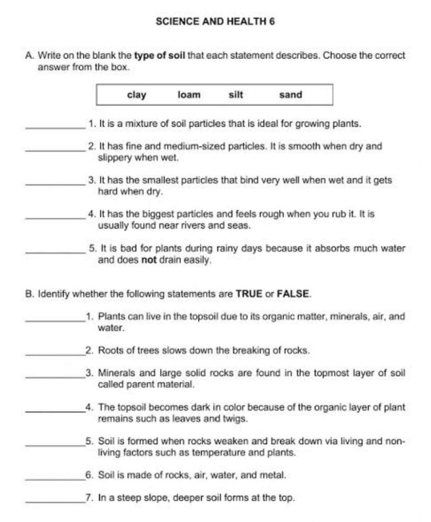 Solved SCIENCE AND HEALTH 6 A. Write on the blank the type | Chegg.com