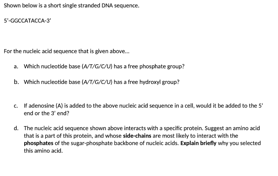 Solved Shown below is a short single stranded DNA sequence. | Chegg.com