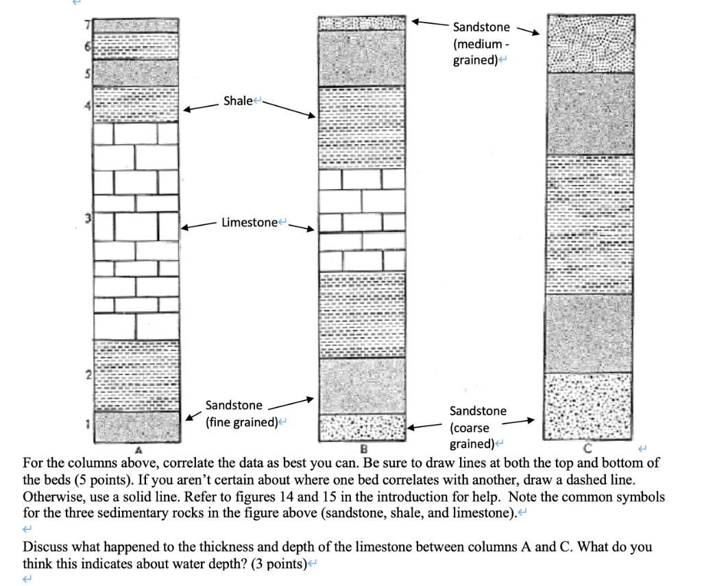 Solved for the three sedimentary rocks in the figure above | Chegg.com