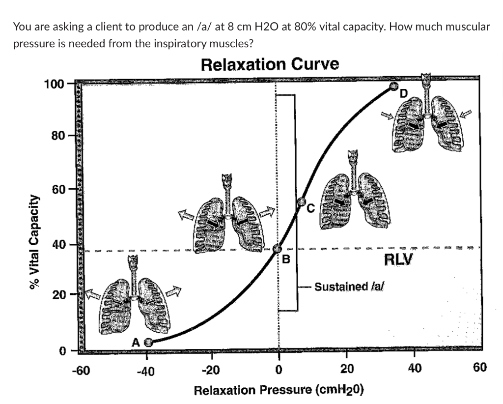 Solved A. 20 cm H2O B. 8 cm H2O C. -12 cm H2O D. 12 cm | Chegg.com