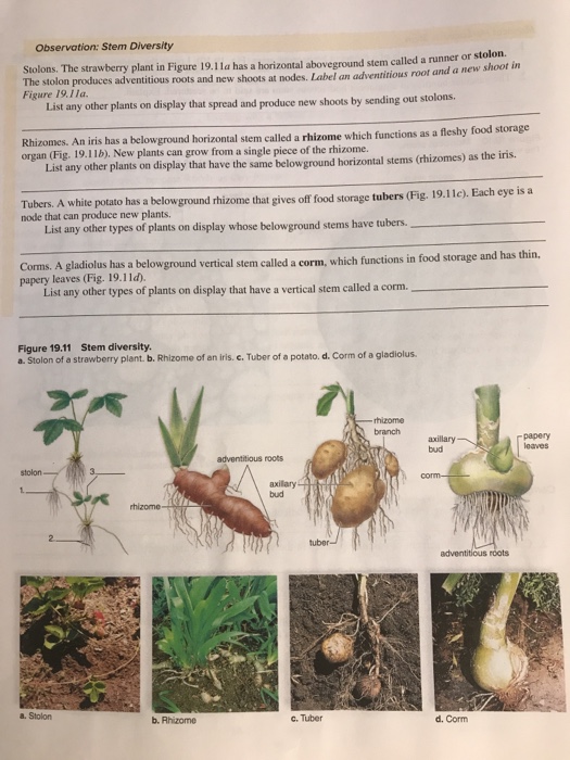 Solved Can you please help me with a simple and short | Chegg.com