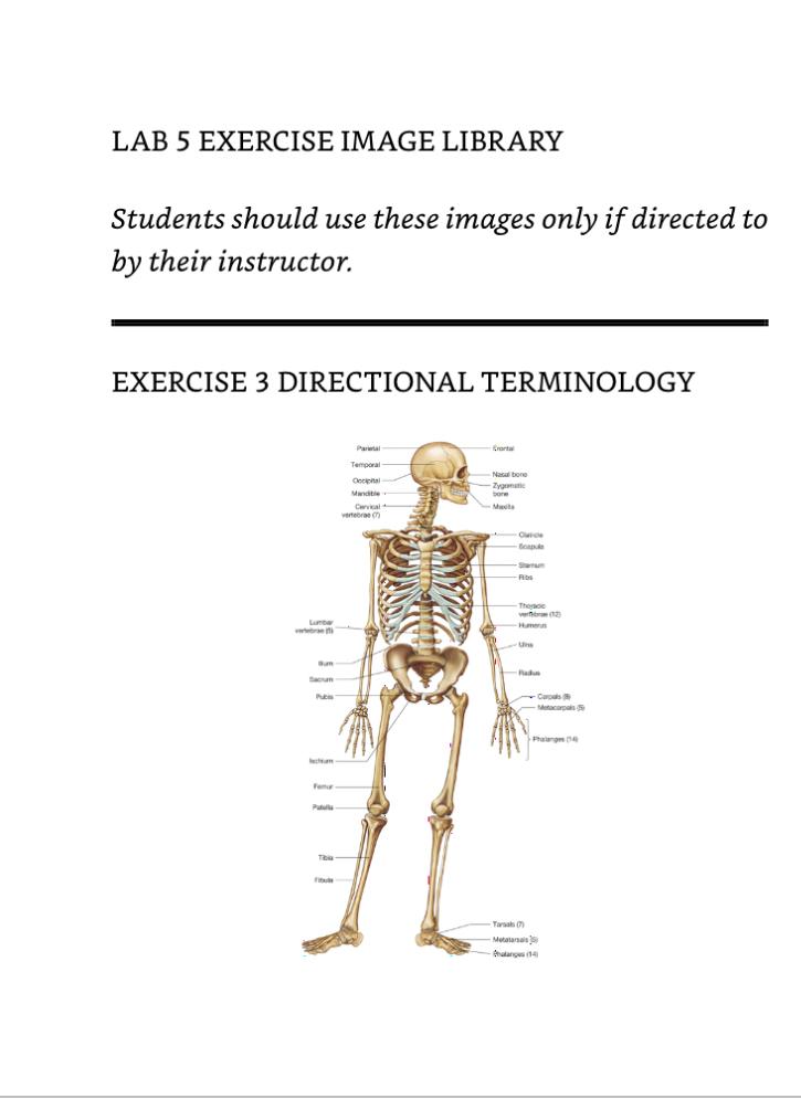Exercise 3 directional terminology Use the skeletal | Chegg.com