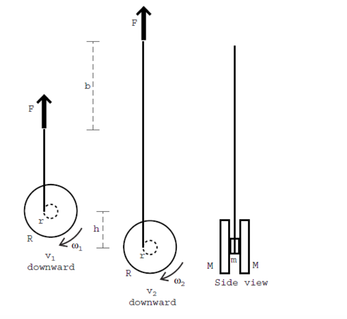 Solved A yoyo is a toy made of three uniform density disks | Chegg.com
