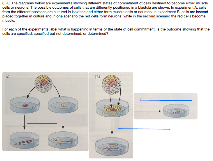 Solved 8. (3) The diagrams below are experiments showing | Chegg.com