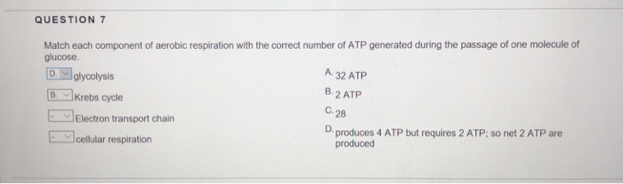 Solved QUESTION 7 Match each component of aerobic | Chegg.com Solved QUESTION 7 Match each component of aerobic | Chegg.com