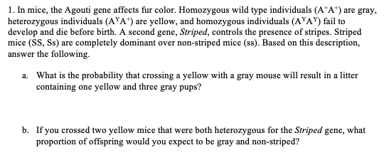 Solved 1. In mice, the Agouti gene affects fur color. | Chegg.com