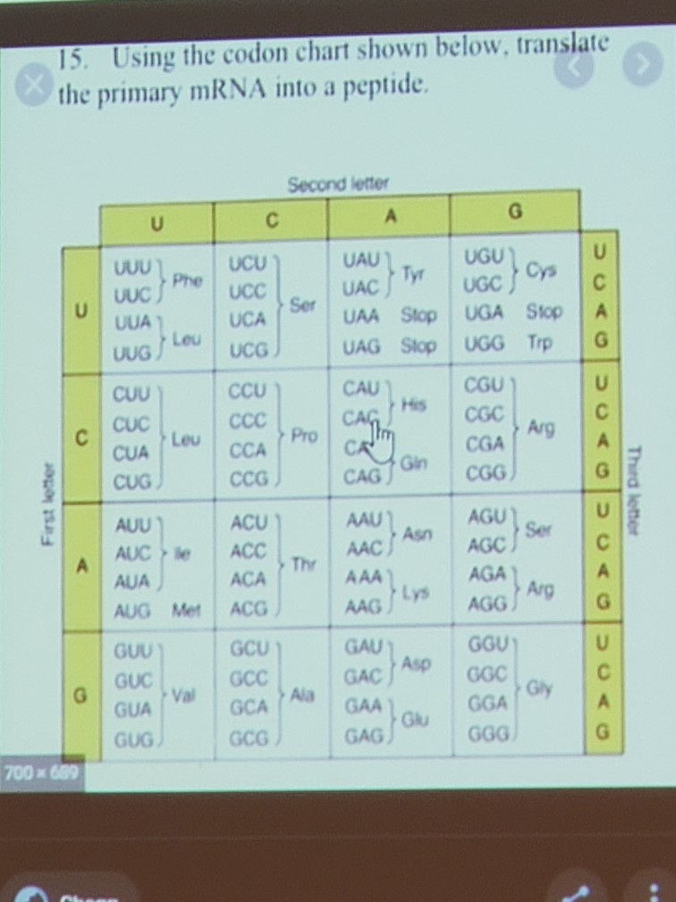 Solved: Anter Lab 10: DNA STRUCTURE AND FUNCTION Laborator... | Chegg.com