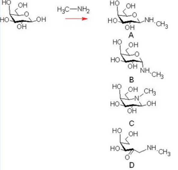 Solved HO OH He OHHCNH2 HO NH CH3 HO OH HQ OH HO ?? ?? NH, | Chegg.com