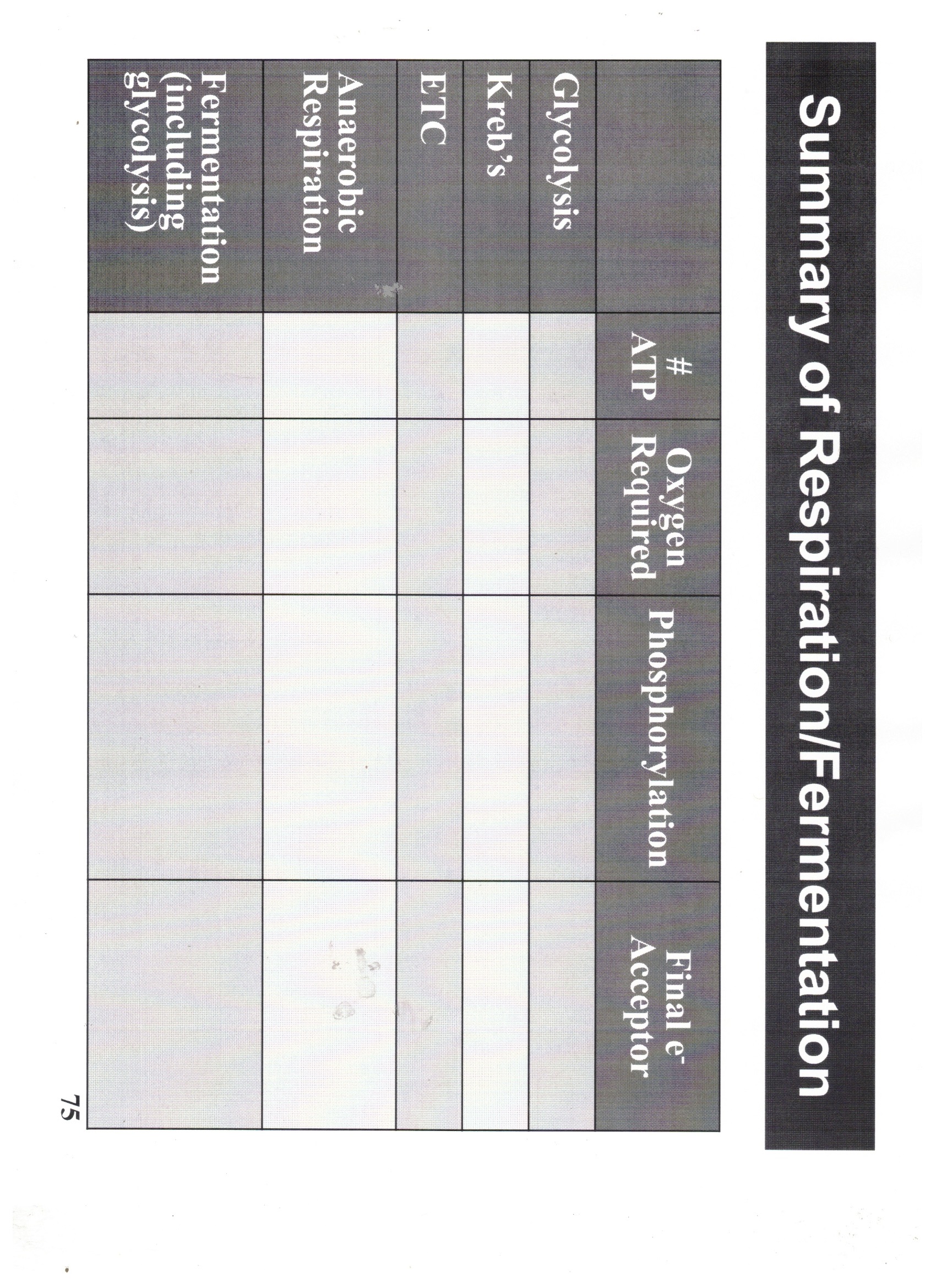 Solved Summary of Respiration/Fermentation | Chegg.com