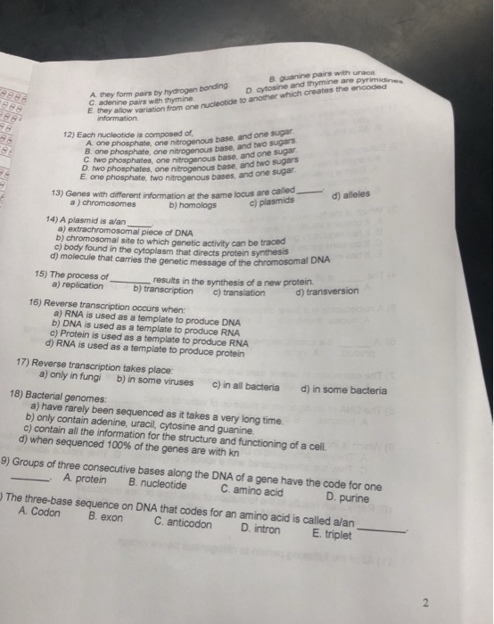 Solved B guanine pairs with uraci A they form pairs by | Chegg.com