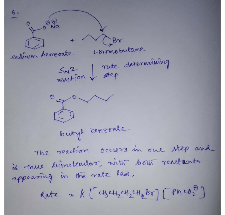 Solved 5. Using the curved arrow notation, write a detailed | Chegg.com