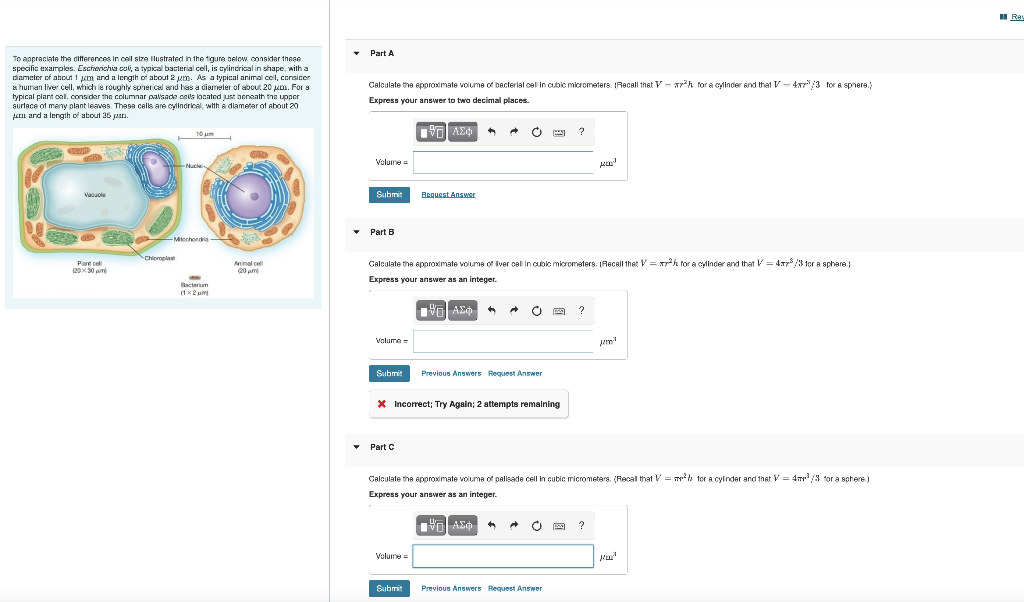 Solved Part B Express your answer as an integer. 14 | Chegg.com