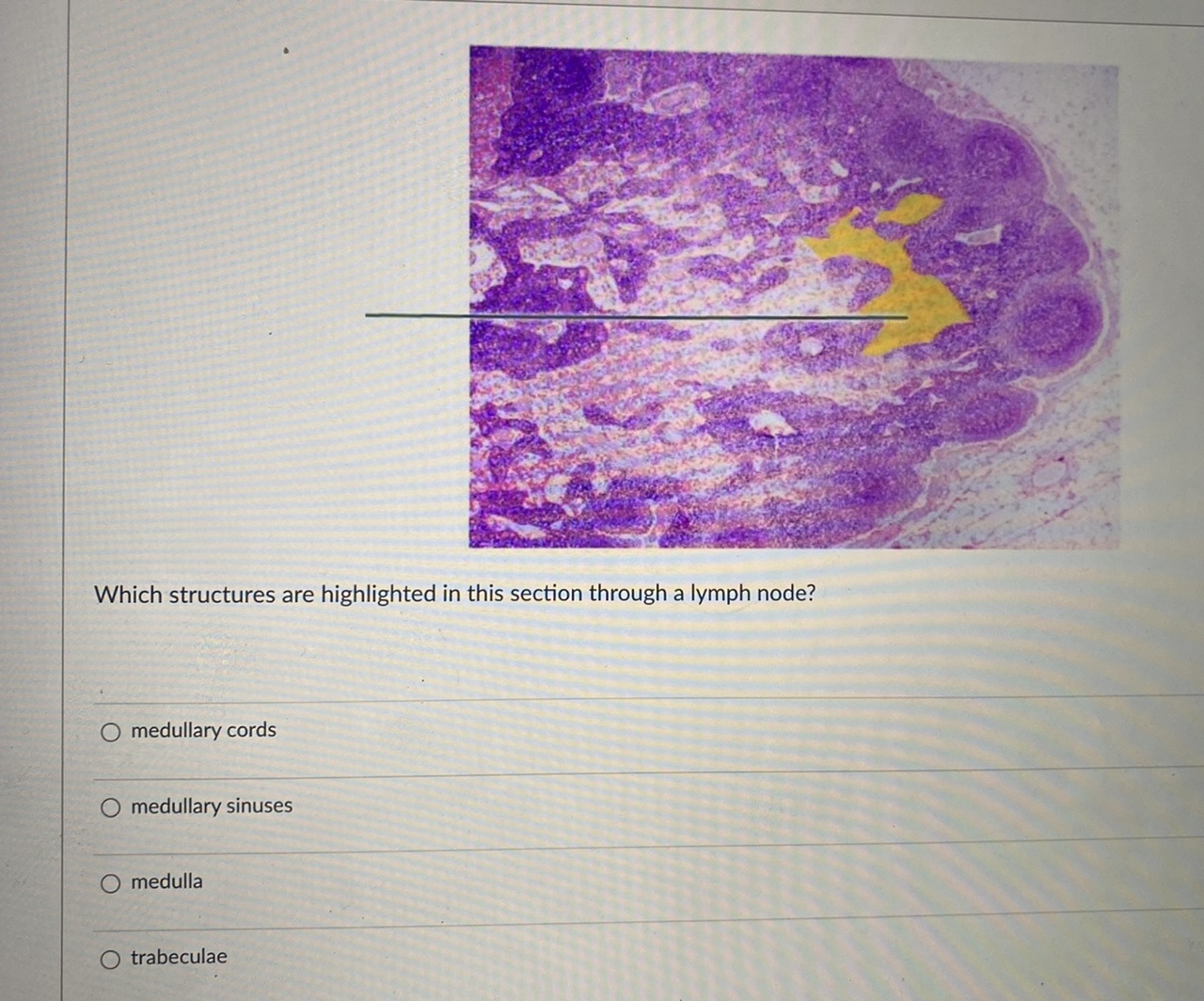 Solved Which structures are highlighted in this section | Chegg.com