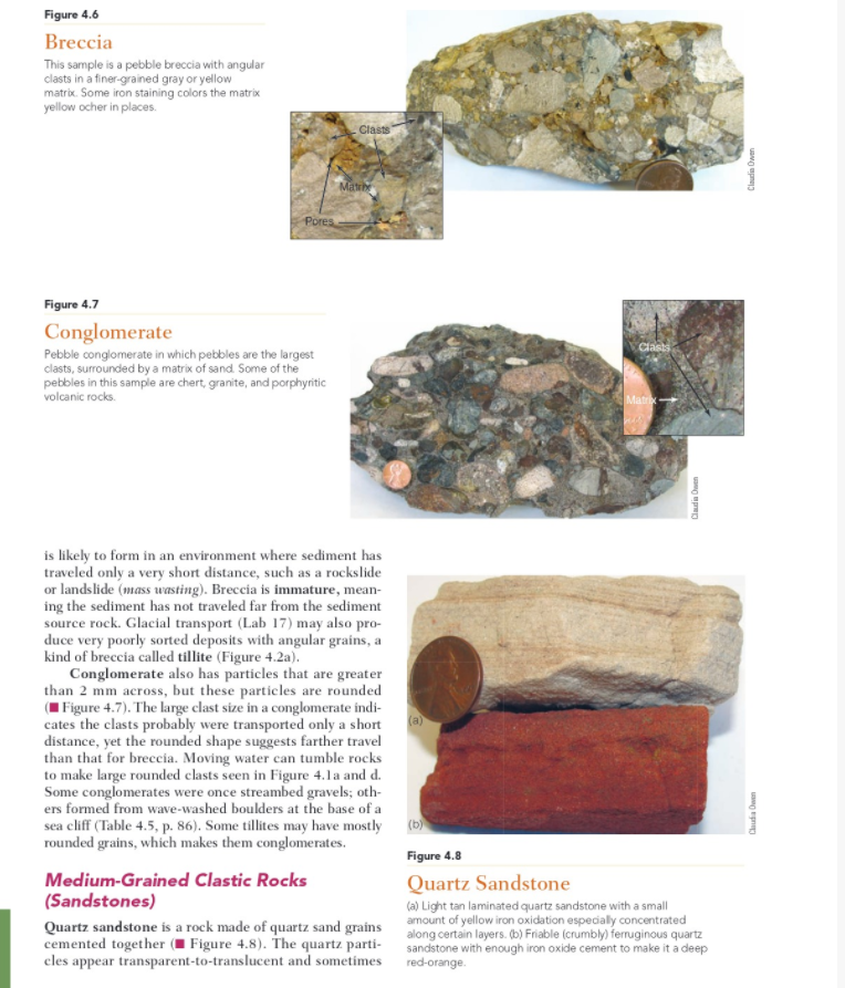 Solved LAB 4 Sedimentary Rocks OBJECTIVES To understand how | Chegg.com