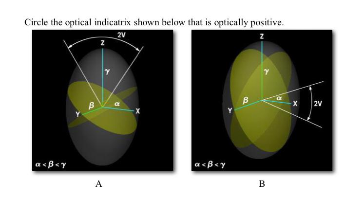 Solved Circle the optical indicatrix shown below that is | Chegg.com