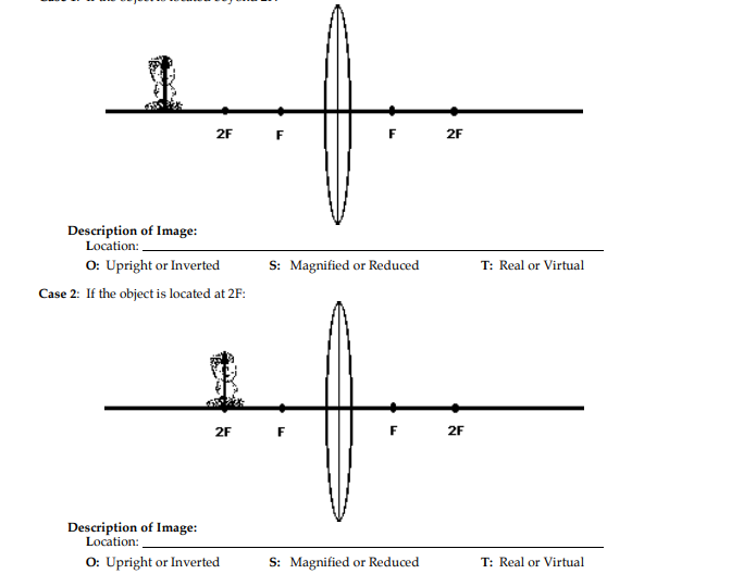 Solved Description of Image: Location: O: Upright or | Chegg.com
