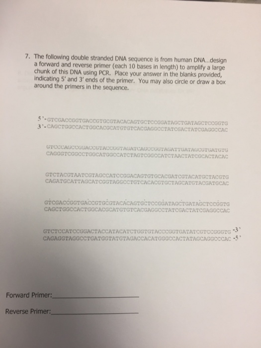 Solved The following double stranded DNA sequence is from | Chegg.com