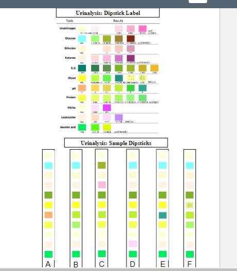Instructions: Using the Urine Dipstick Label (from | Chegg.com