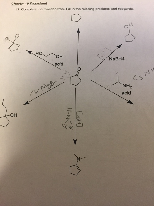 Solved Chapter 19 Worksheet 1) Complete the reaction tree. | Chegg.com