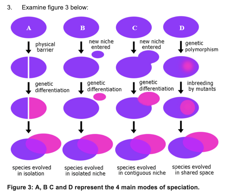 Solved A. Name the 4 modes of speciation listed in | Chegg.com