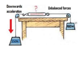 Solved Find the force of the scale readingPlease complete | Chegg.com