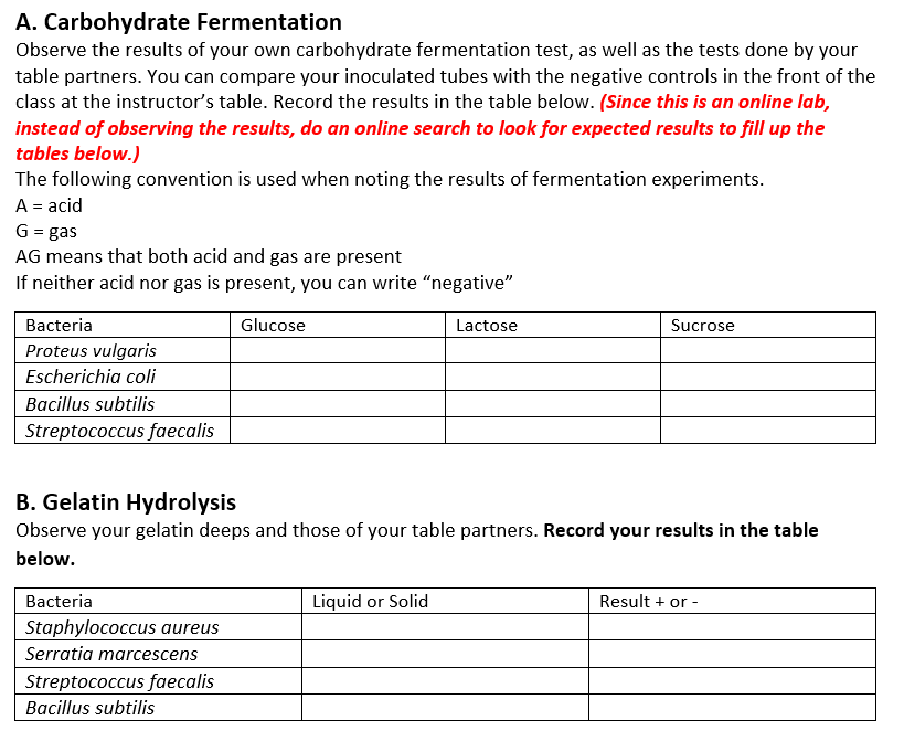 Solved A. Carbohydrate Fermentation Observe the results of | Chegg.com