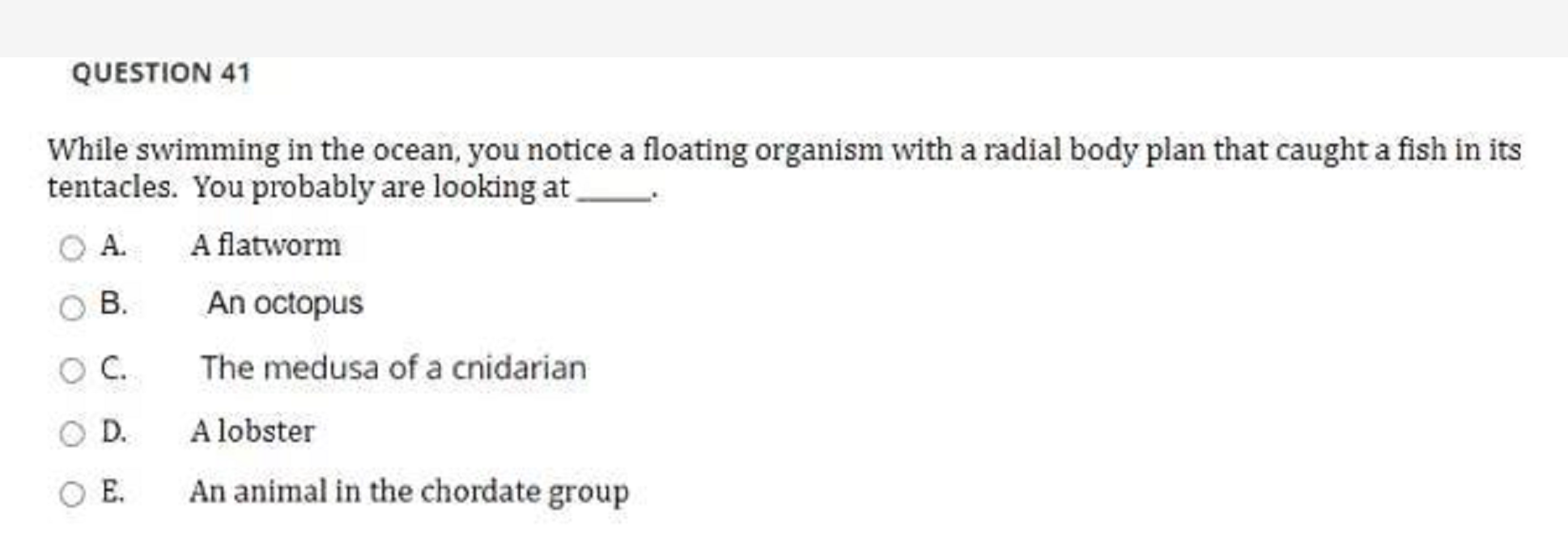 Solved QUESTION 41 While swimming in the ocean, you notice a | Chegg.com