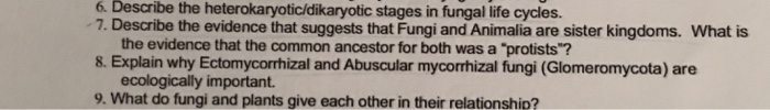 Solved Describe the heterokaryotic/dikaryotic stages in | Chegg.com