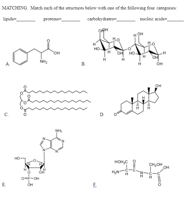 Solved MATCHING. Match each of the structures below with one | Chegg.com