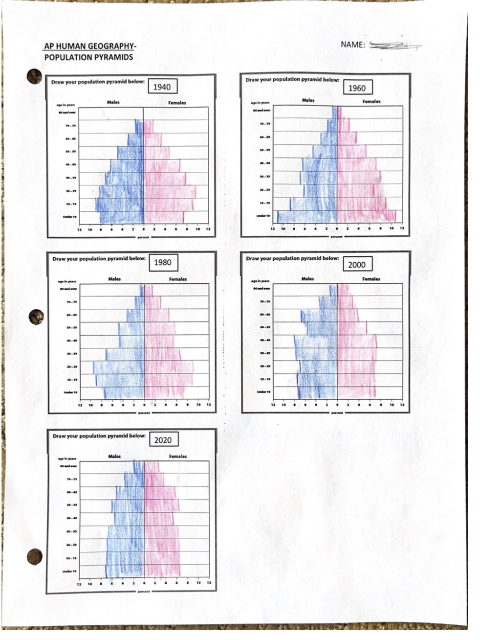 Solved AP HUMAN GEOGRAPHY - POPULATION PYRAMIDSAnswer these | Chegg.com