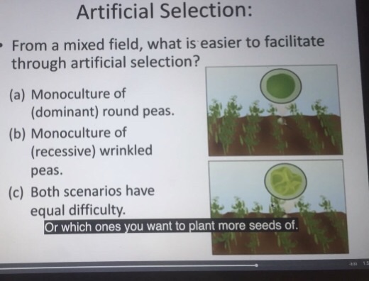 Solved From a mixed field, what is easier to facilitate | Chegg.com