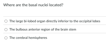 Solved Where are the basal nuclei located?The large bi-lobed | Chegg.com