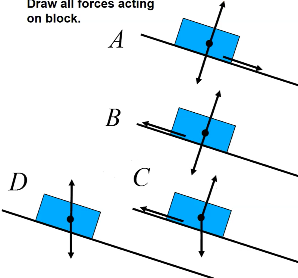 Solved The sketch that best represents the forces acting on | Chegg.com