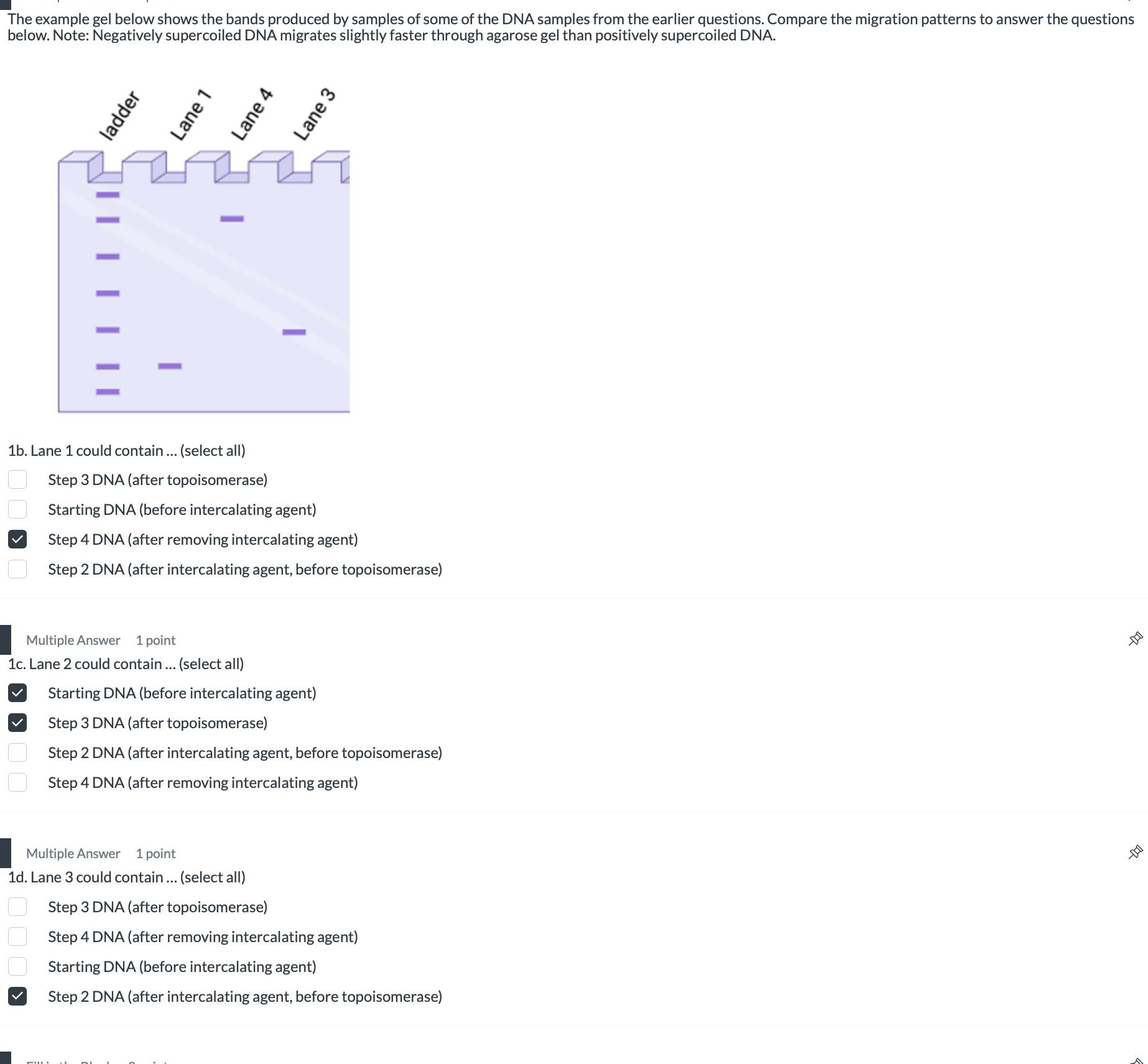 Solved The example gel below shows the bands produced by | Chegg.com