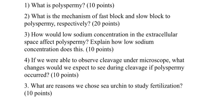 Solved 1) What is polyspermy? (10 points) 2) What is the | Chegg.com