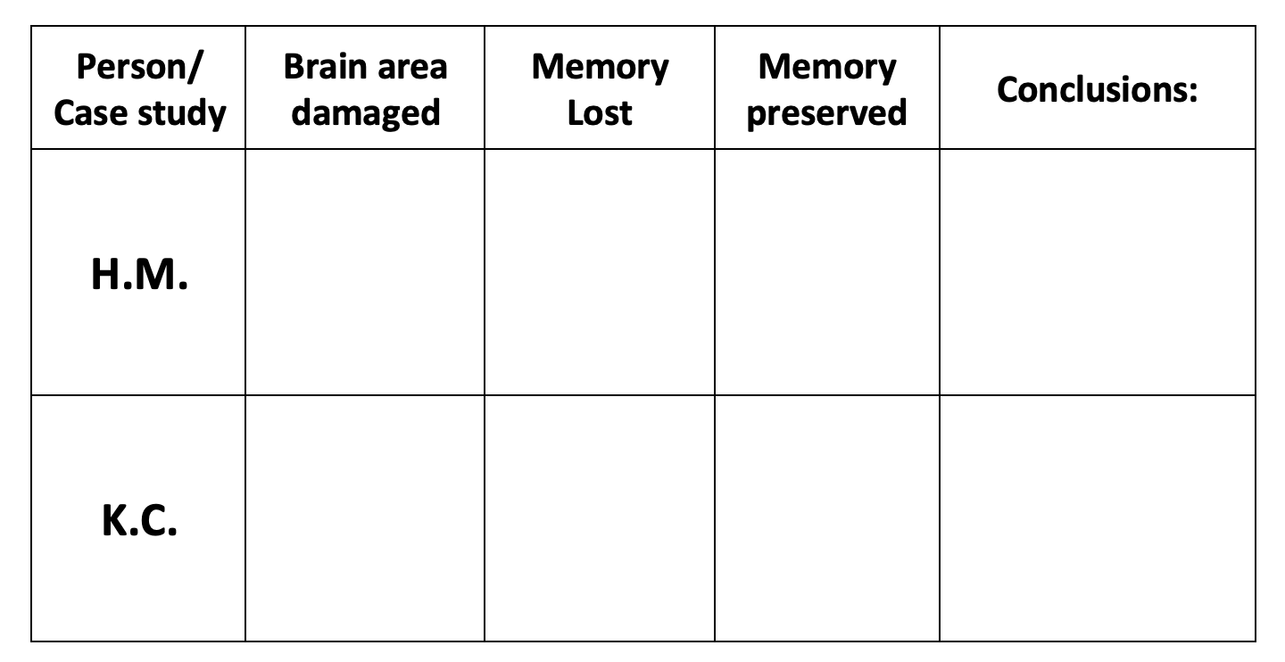 Person/ Case study H.M. K.C. Brain area damaged | Chegg.com