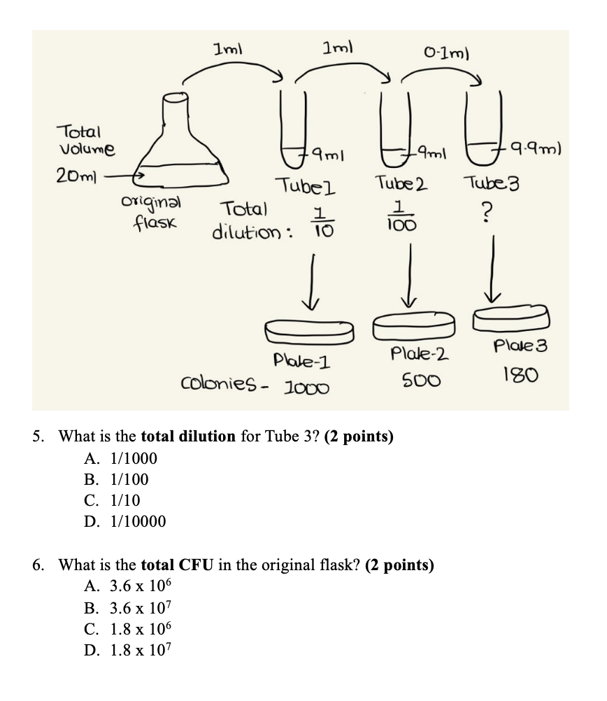 5. What is the total dilution for Tube 3? (2 points) | Chegg.com