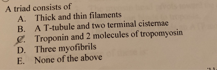 Solved A triad consists of A. B. Thick and thin filaments A | Chegg.com