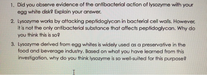 Solved 1. Did you observe evidence of the antibacterial | Chegg.com
