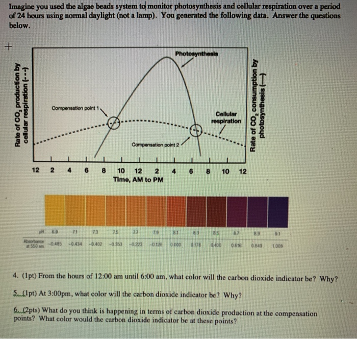 Solved Imagine you used the algae beads system to monitor | Chegg.com