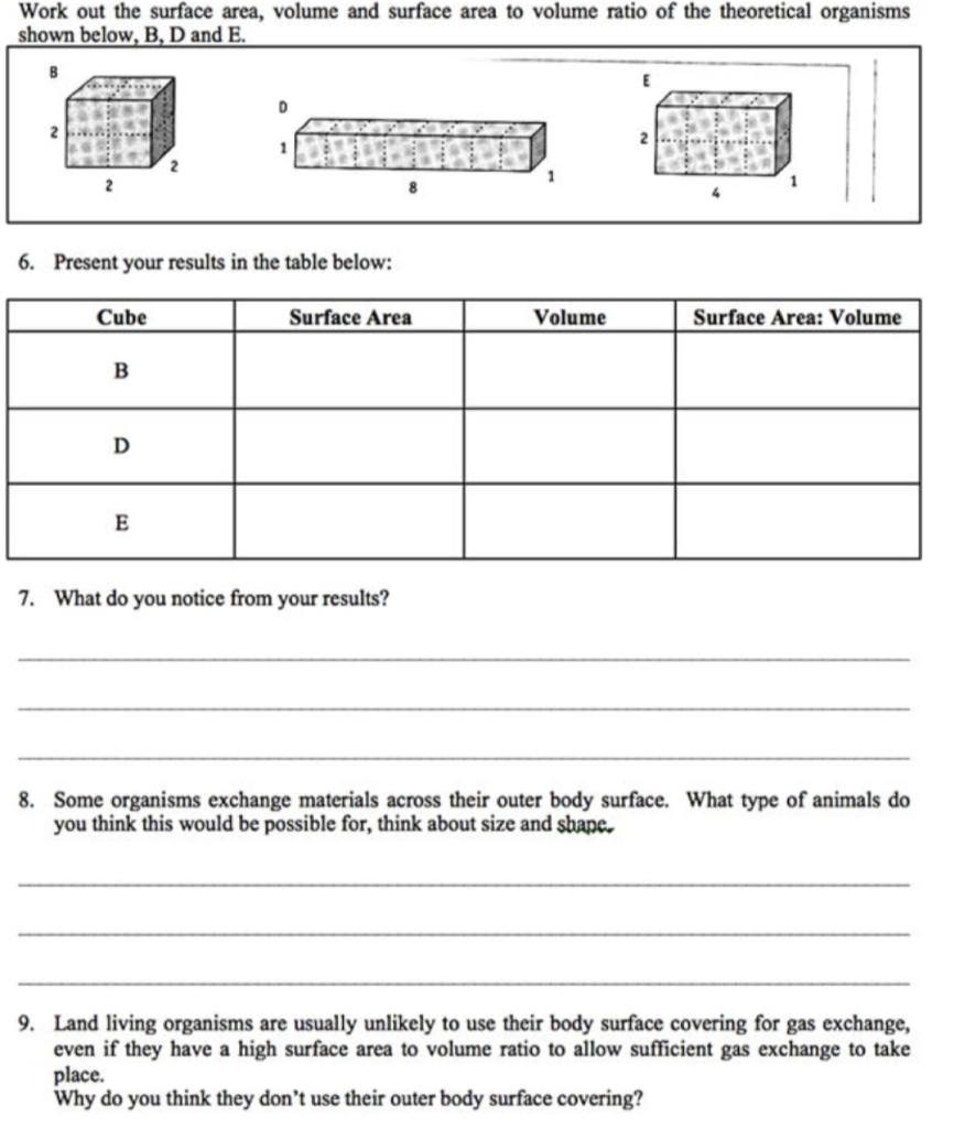 Solved Work out the surface area, volume and surface area to | Chegg.com