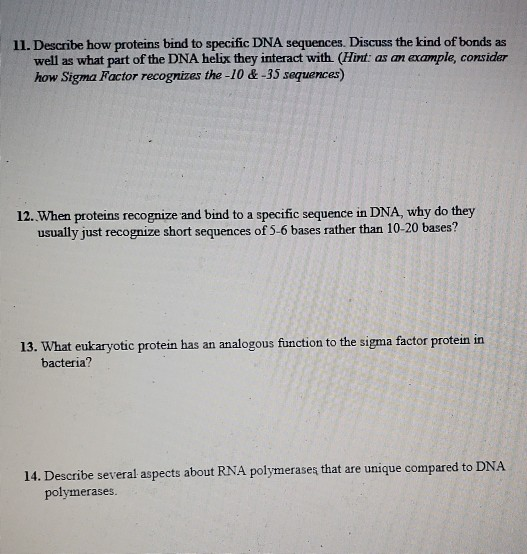 Solved 11. Describe how proteins bind to specific DNA | Chegg.com