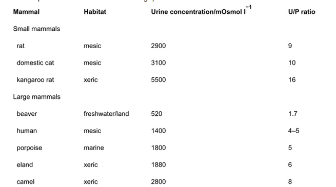 Solved 8. Consider the table below (U – urine osmolarity , P | Chegg.com
