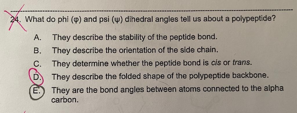 Solved 24. What do phi (0) and psi () dihedral angles tell | Chegg.com