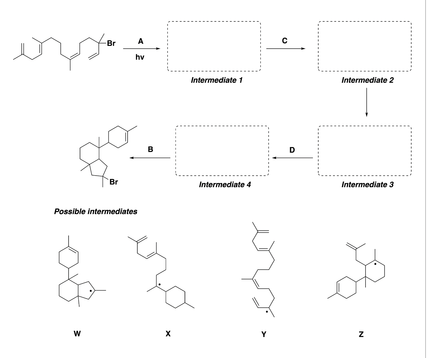 Solved For the above radical reaction, label the steps named | Chegg.com