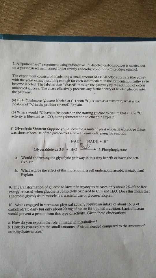 Solved 7. A "pulse-chase" experiment using radioactive | Chegg.com