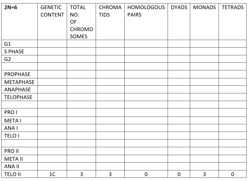 Solved 2N=6 DYADS MONADS TETRADS GENETIC CONTENT CHROMA TIDS | Chegg.com