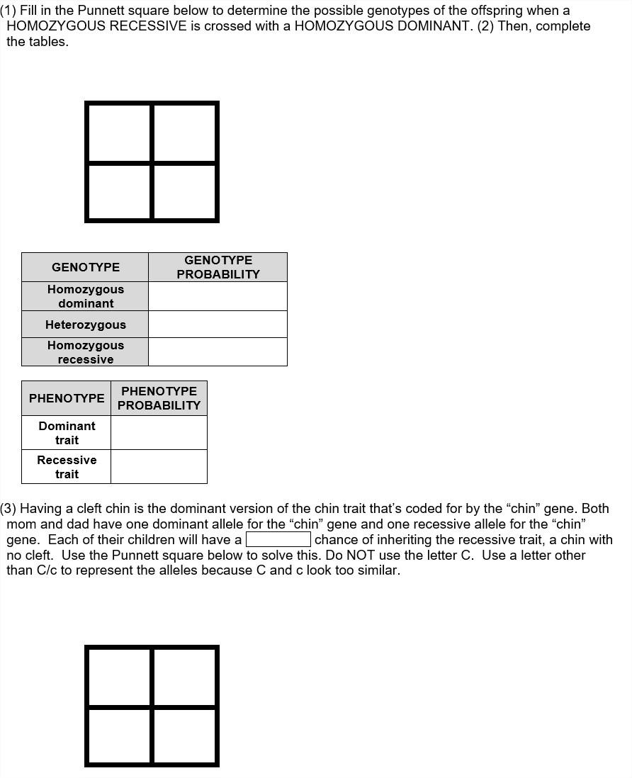 Punnett Square Genotype And Phenotype